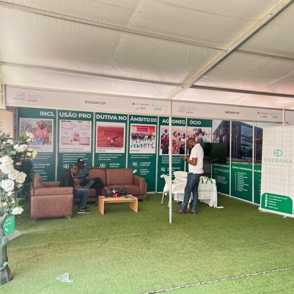 Galeria de documentos – Endiama